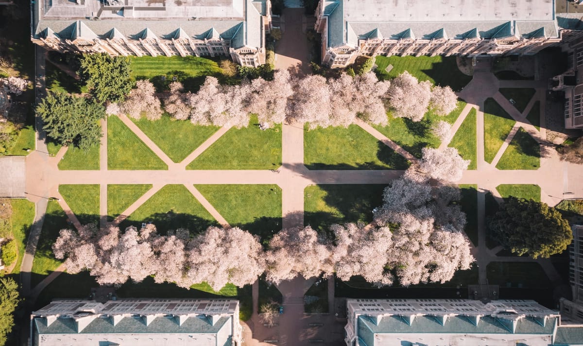 The Role of Desire Paths in PKM